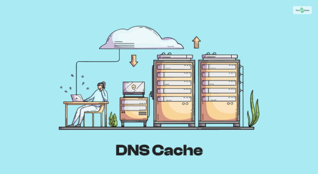 What Is DNS Cache? How Do You Clear DNS Cache?